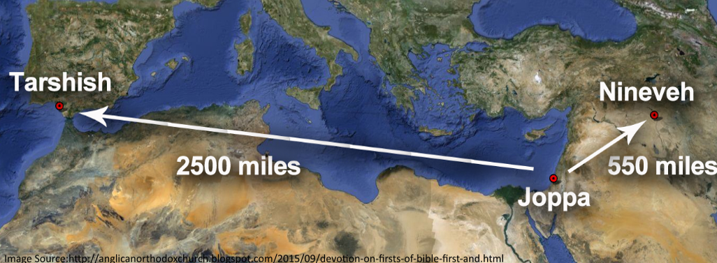 Survey of Jonah – The Way of Christ Ministries